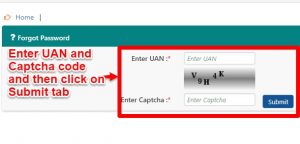 How to update or change Mobile Number in EPF UAN online?